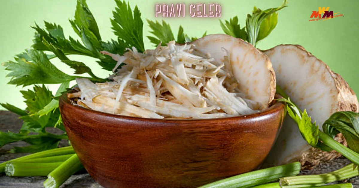 Pravi celer Benefits : Nature’s Crunchy Cure for Health & Healing - Management Works Media