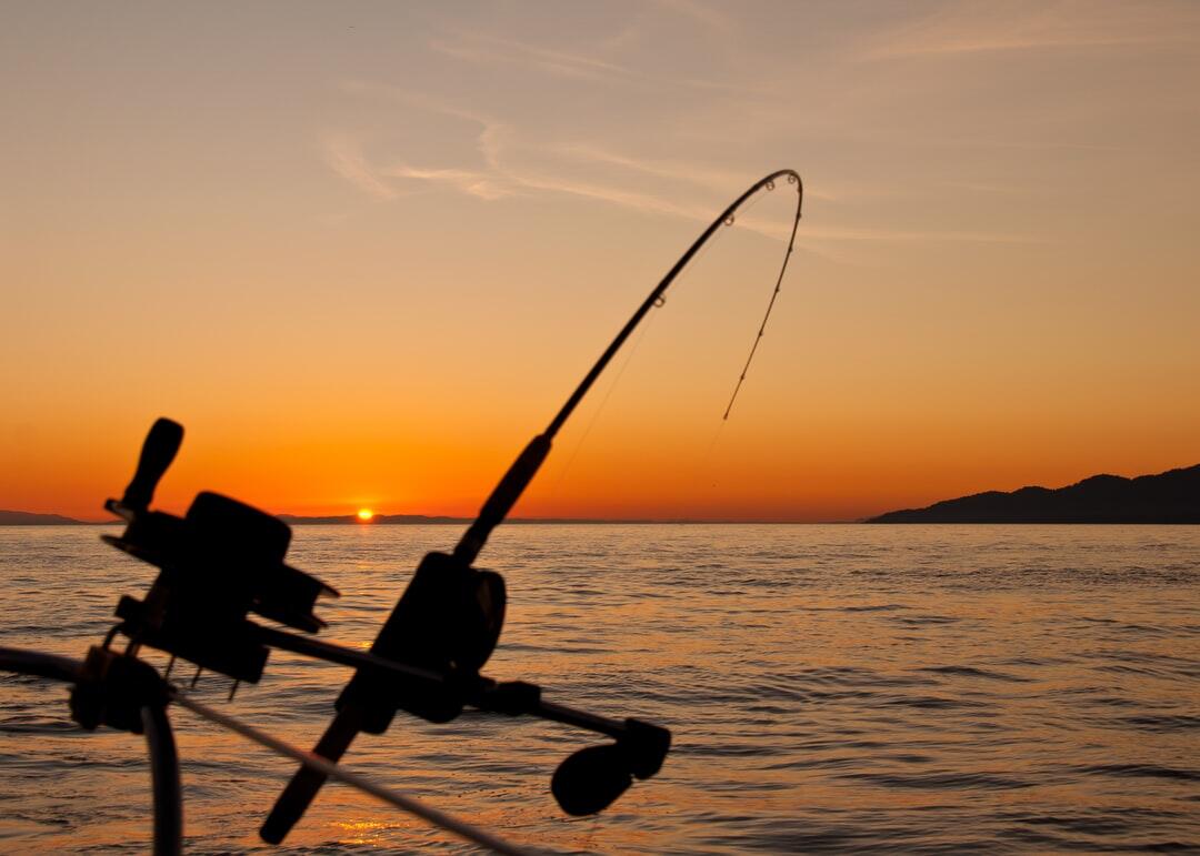 The Role of Guided Fishing Tours in Enhancing Fishing Skills